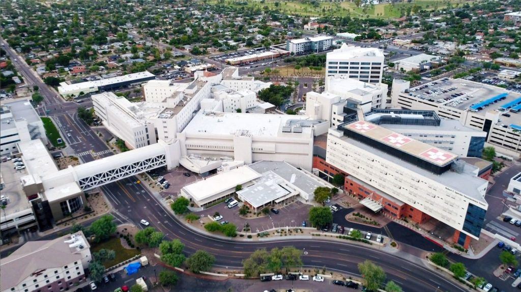 Primary Brain Tumor Types What To Know And Faqs